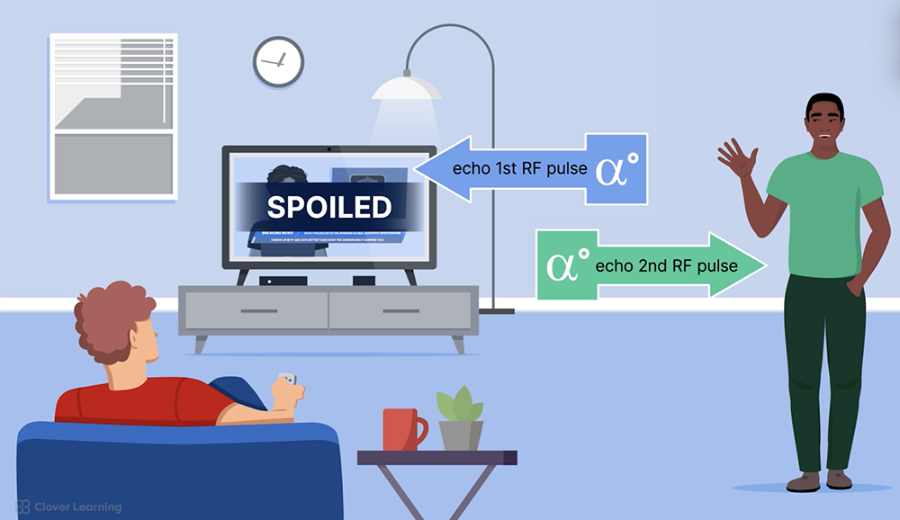 Improving MRI Education Through Animation, Design, and Expert Teaching