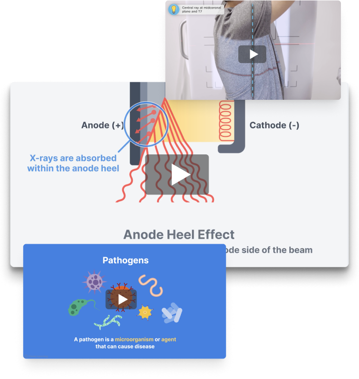 Student Training & Exam Prep Plan